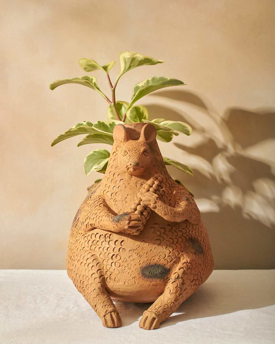 Armadillo Planter – Eterna Home